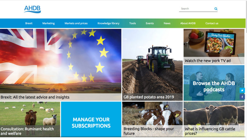 Search underway for new AHDB chair | Food Management Today