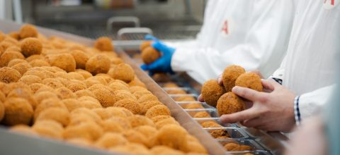 Addo Food Group launches 2021 graduate employment programme | Food ...