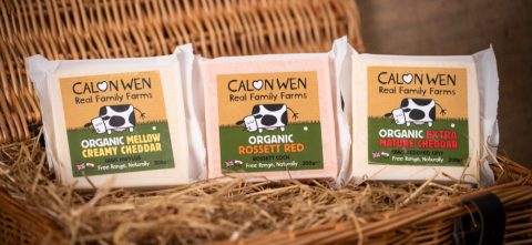 Welsh co-op first in Europe to secure Japanese organic cheese ...