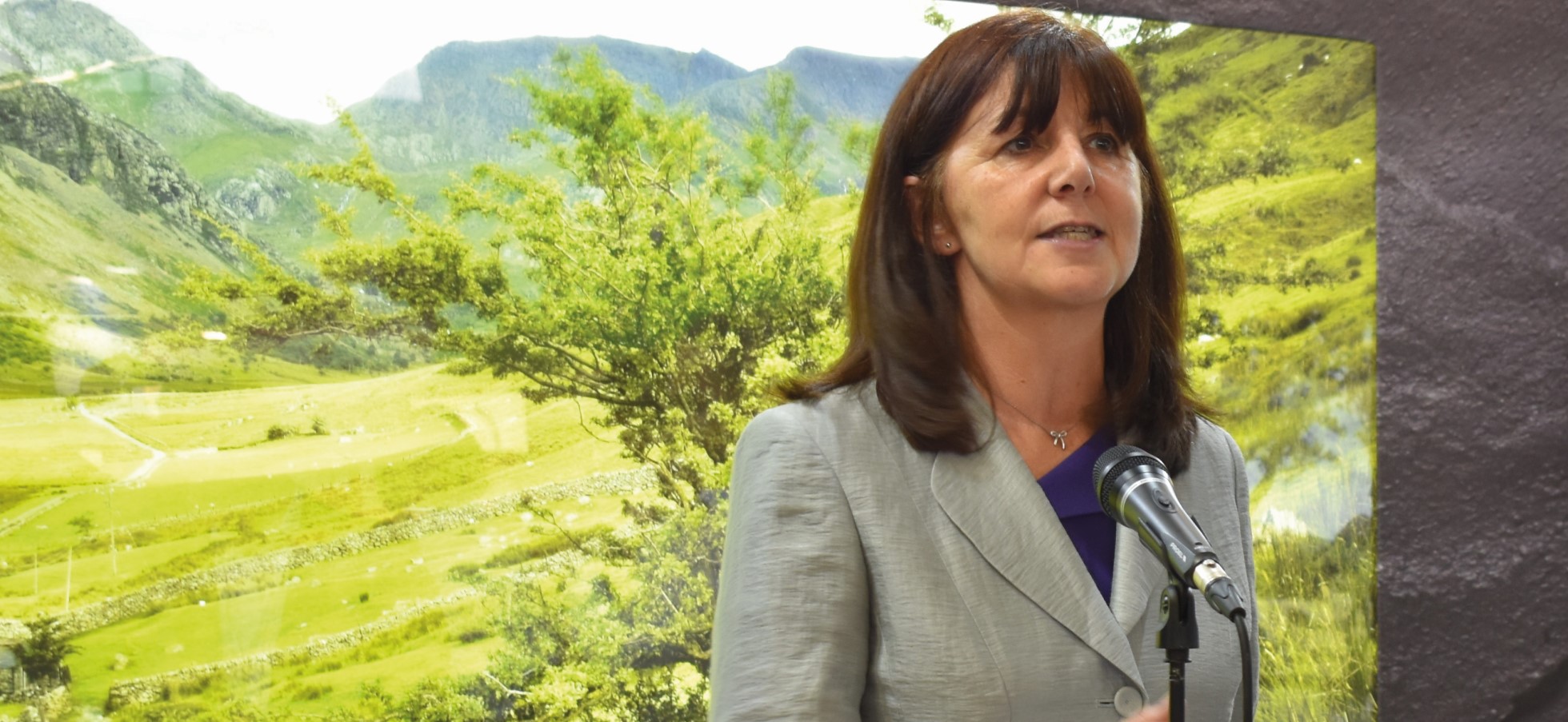 Ministers set out potential SFS next steps in written statement | Food Management Today