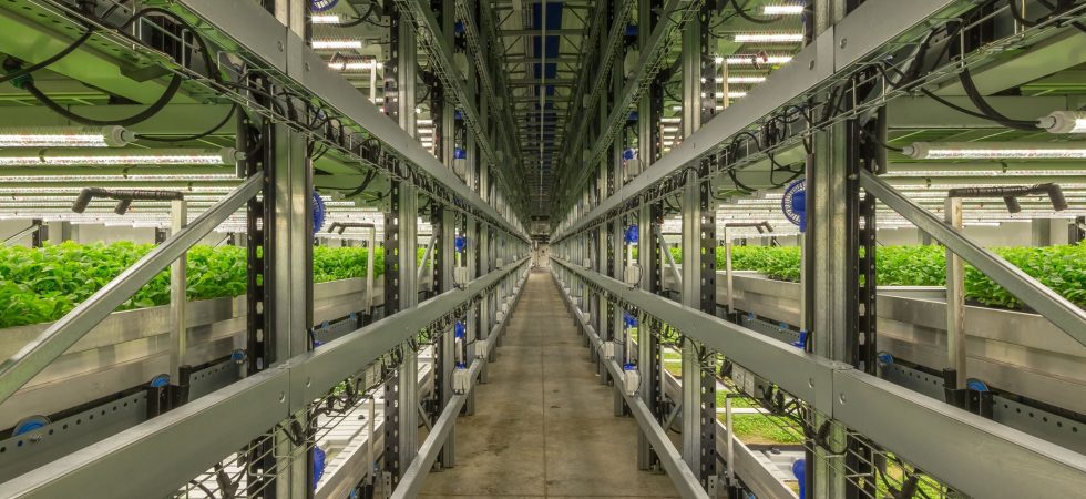 Construction of “world’s biggest” vertical farm completed in Norfolk ...