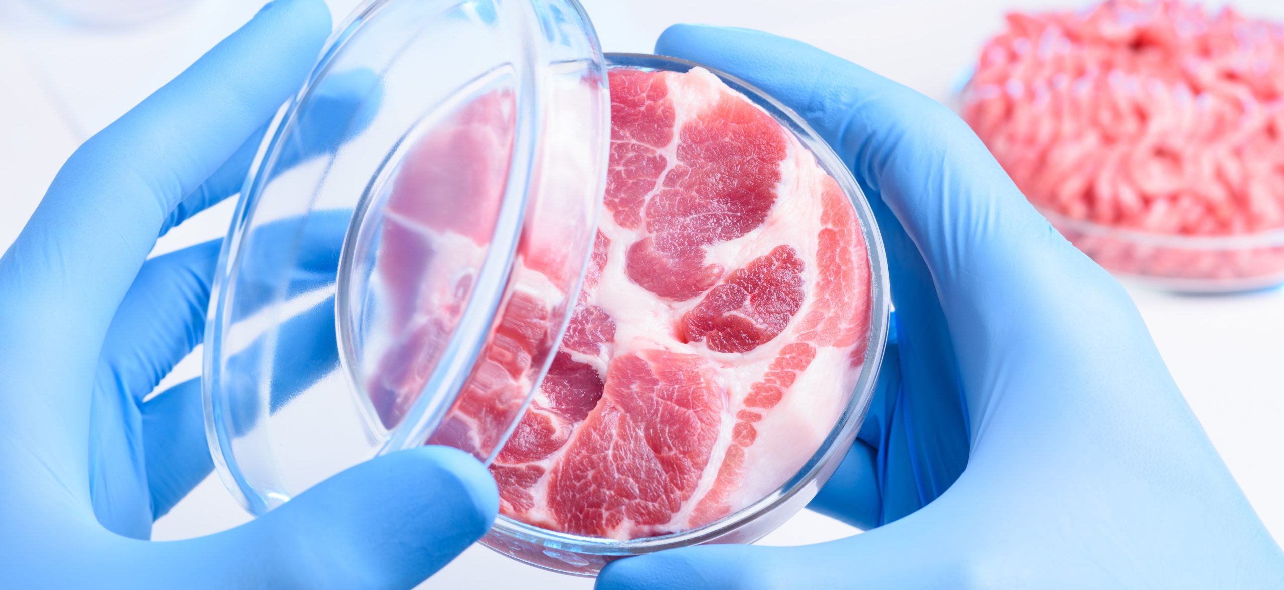 Camden BRI event to explore safety of plant-based and cultured meat ...