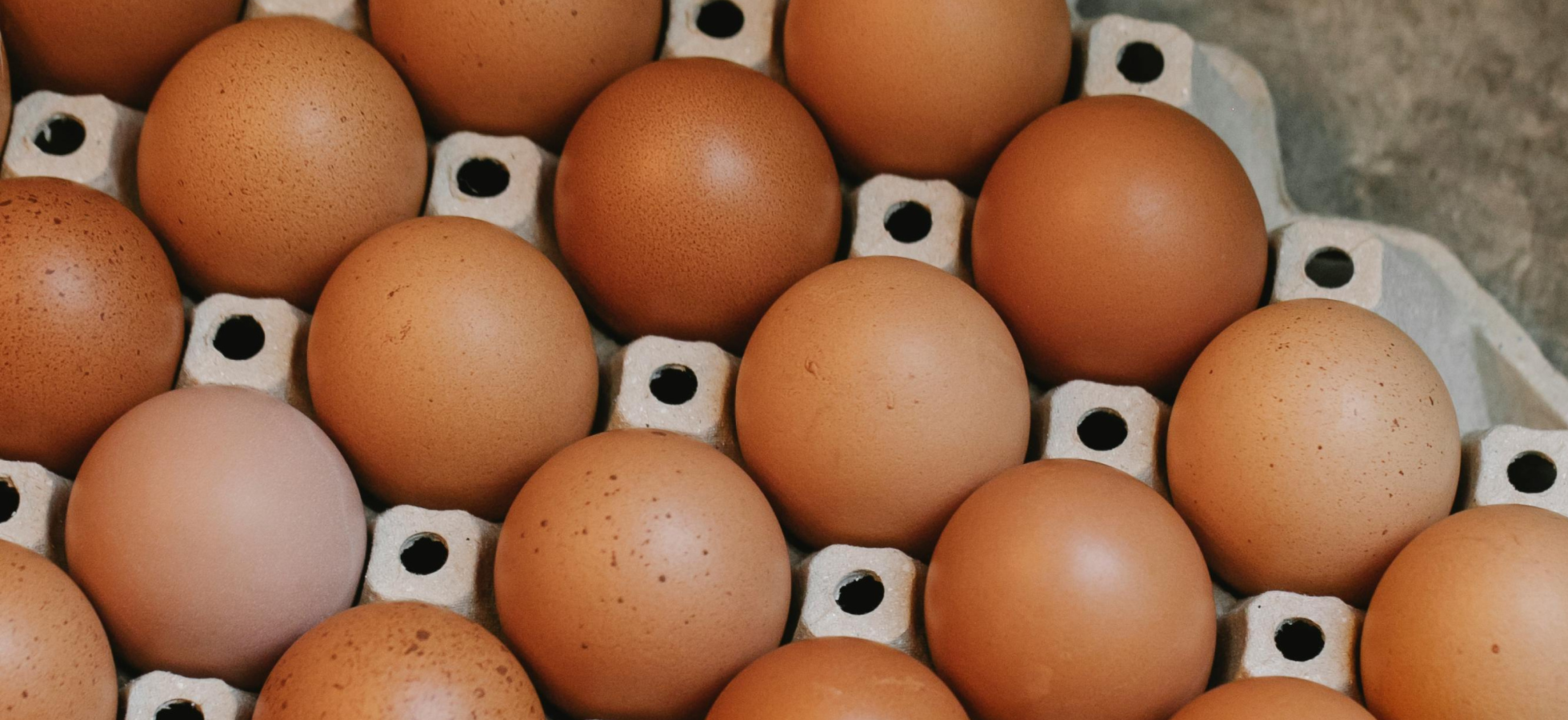 Aldi to invest £1.1bn in British egg production | Food Management Today