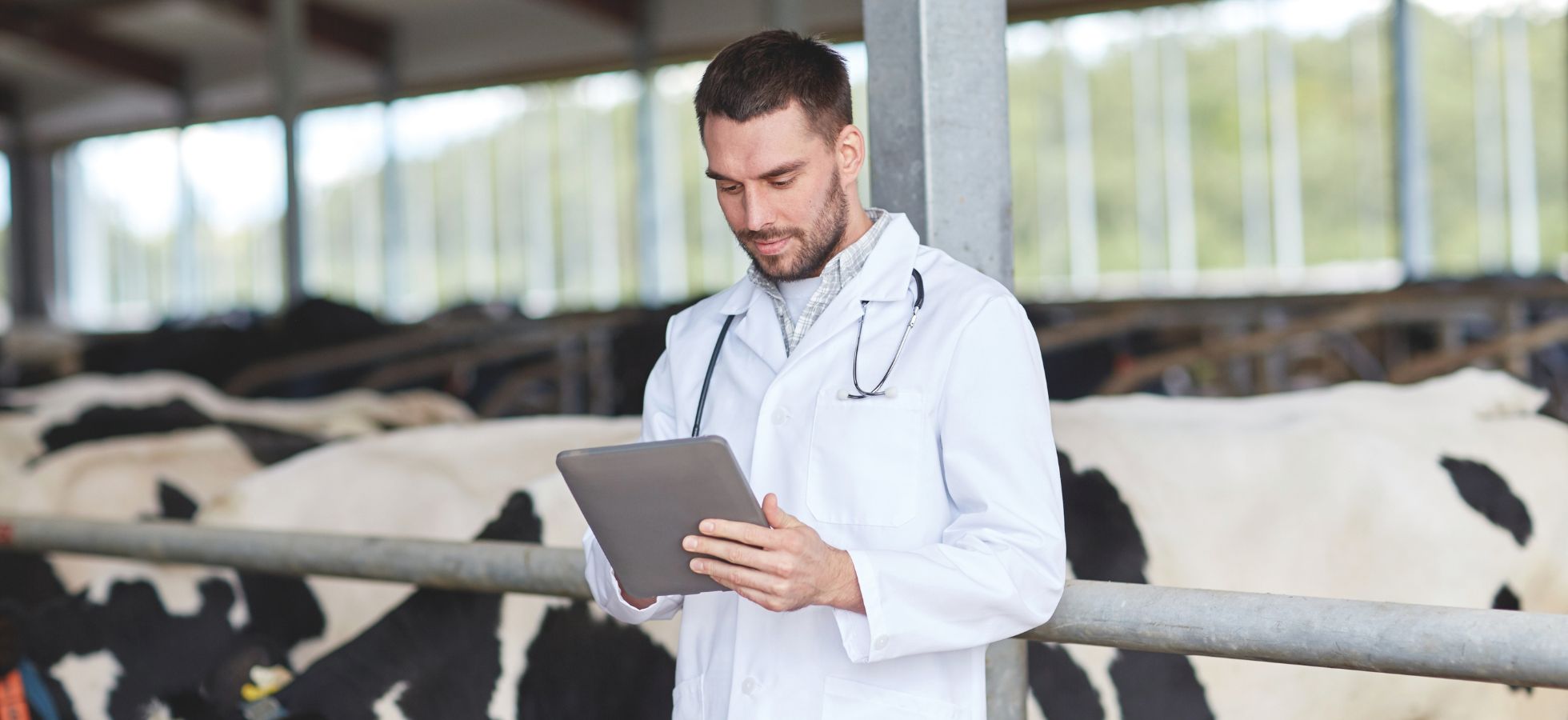 Defra commissions framework to improve food sector sustainability ...